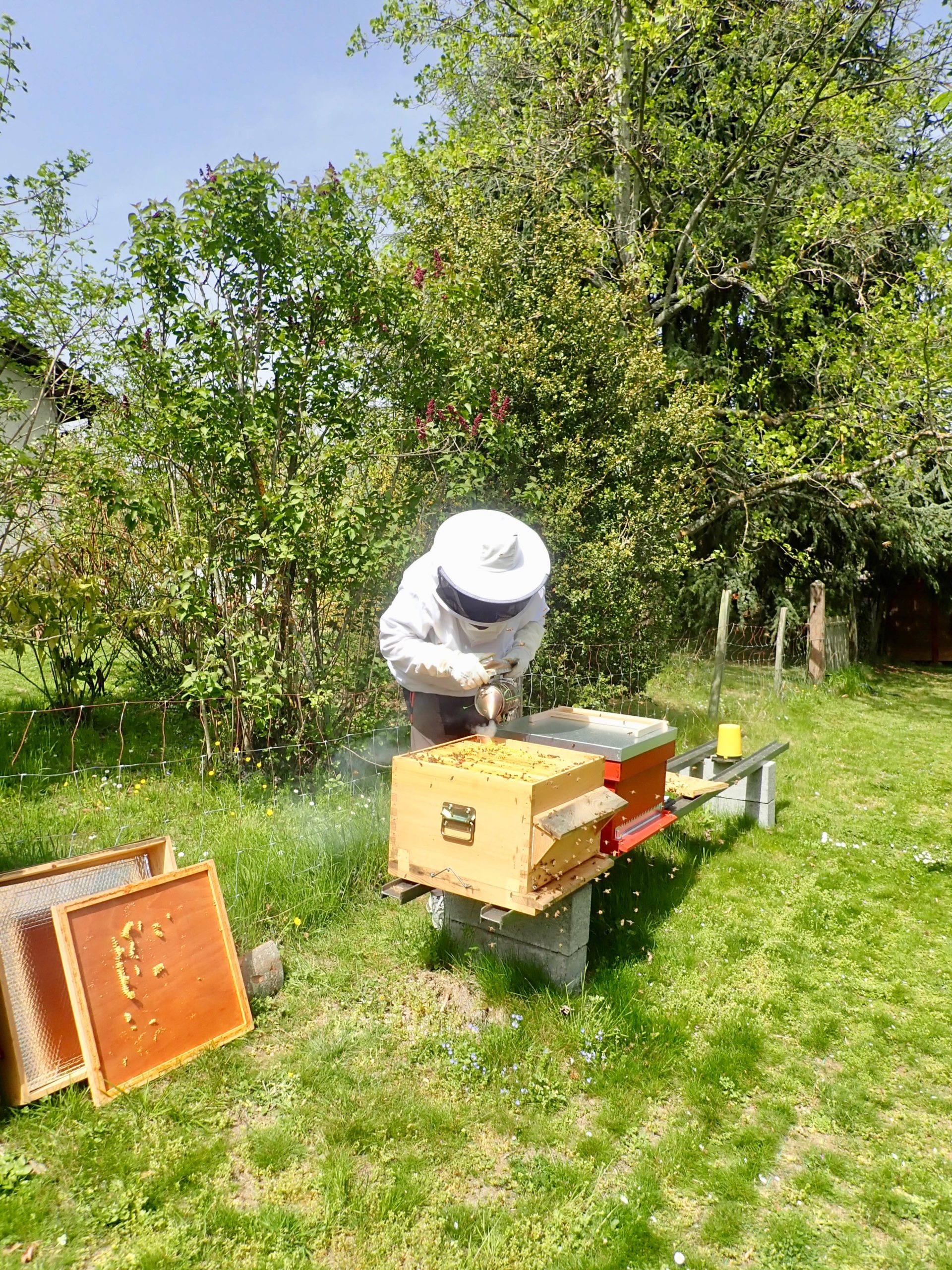 Le Rucher - Le Rucher de Braille